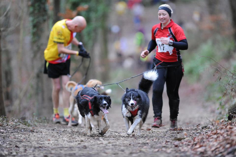 Woodchester CaniX Race Report - K9 Trail Time: Leading Canine Equipment ...