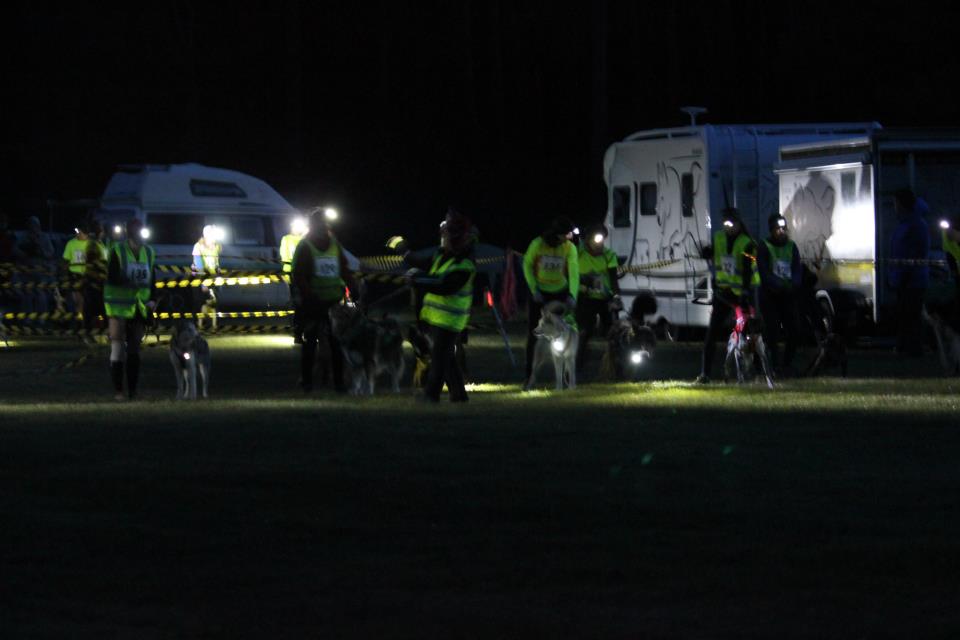 Pembrey CaniX Race Report - K9 Trail Time: Leading Canine Equipment ...