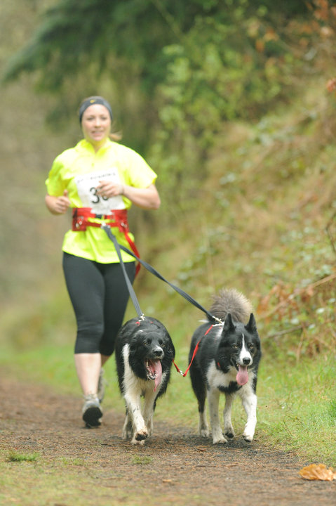 Belt & Braces - How to Choose a Canicross Belt - K9 Trail Time: Leading ...