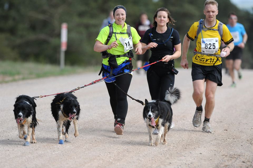 The Road to Stonehenge - The CaniX Half Marathon Race Report - K9 Trail ...