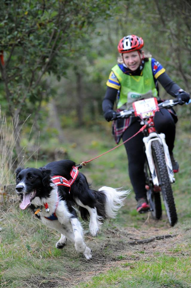 CanineMax 2013 CaniX Championships - Race Report - K9 Trail Time ...