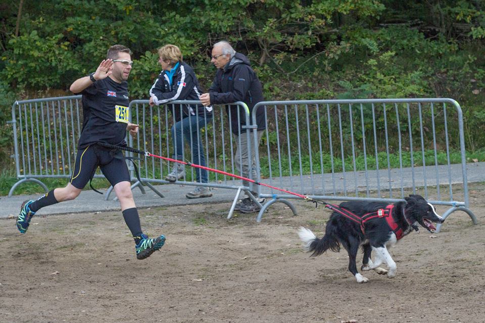 The Best Running Dog? - K9 Trail Time: Leading Canine Equipment Provider