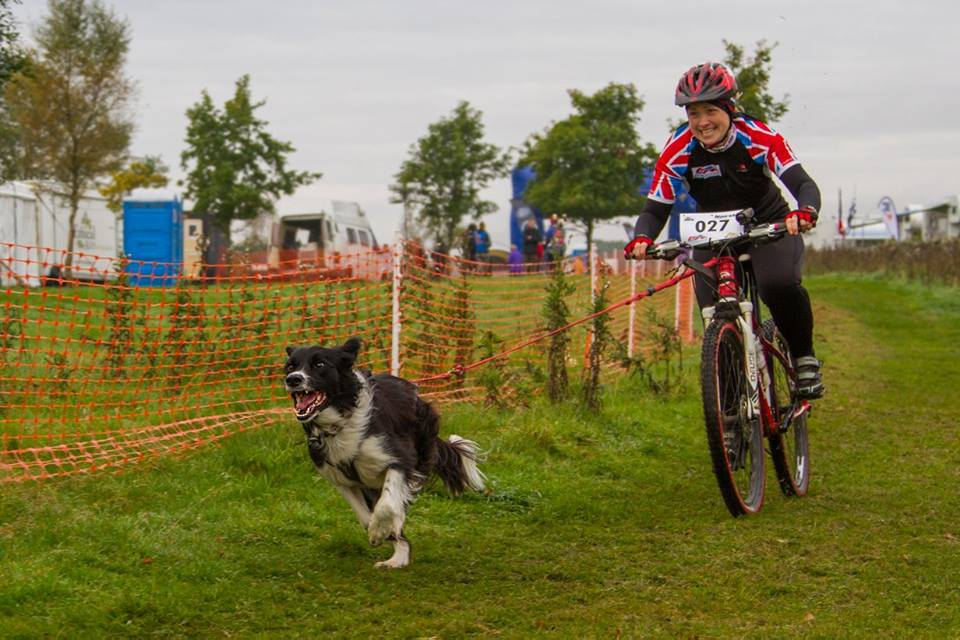 Why We Love X-Back Harnesses - K9 Trail Time: Leading Canine Equipment ...