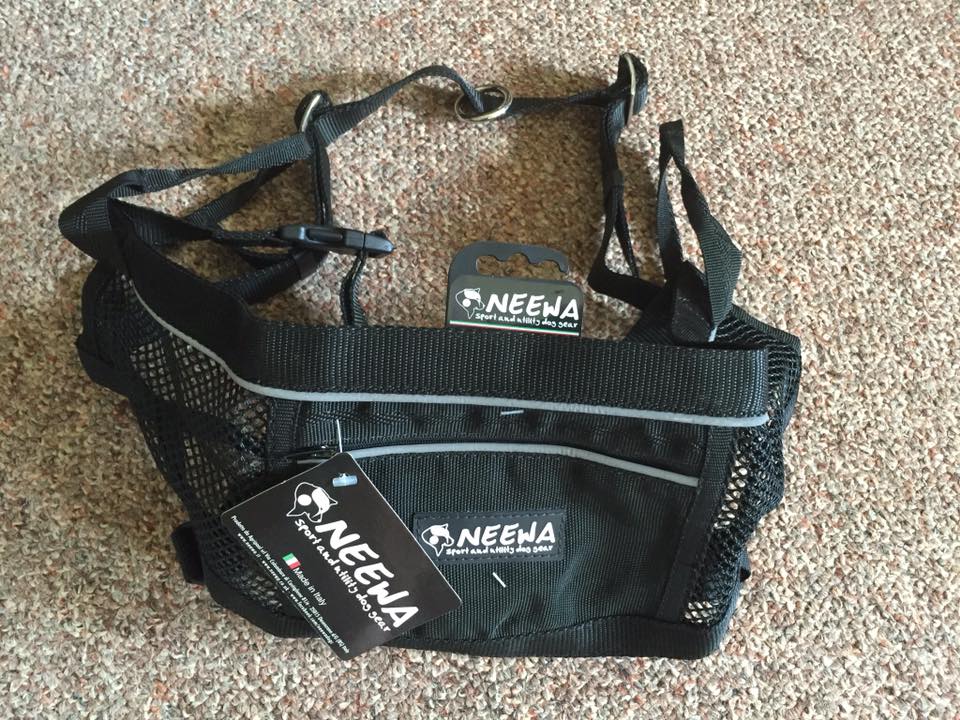 Product Feature - The Neewa Canicross Belt - K9 Trail Time: Leading ...