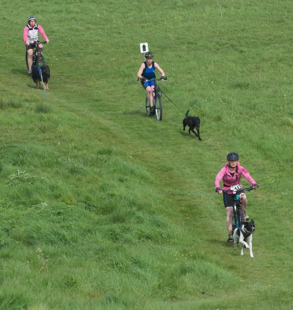 Tri Dog - The first UK Triathlon with Dogs - K9 Trail Time: Leading ...