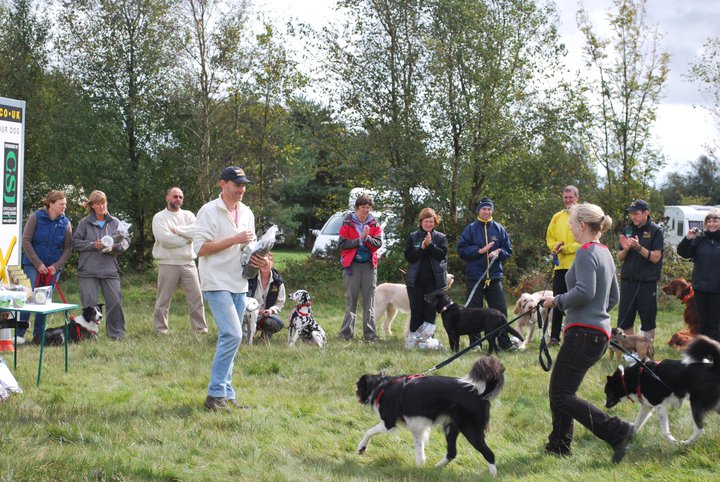 Why we race (when we know we're not going to win) - K9 Trail Time ...