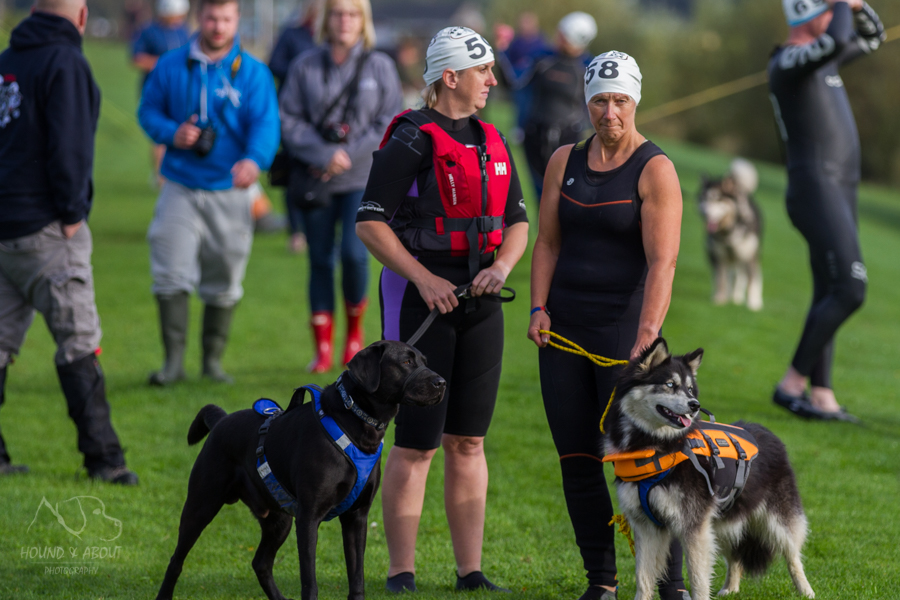 Triathlon for dogs comes to the UK - K9 Trail Time: Leading Canine ...