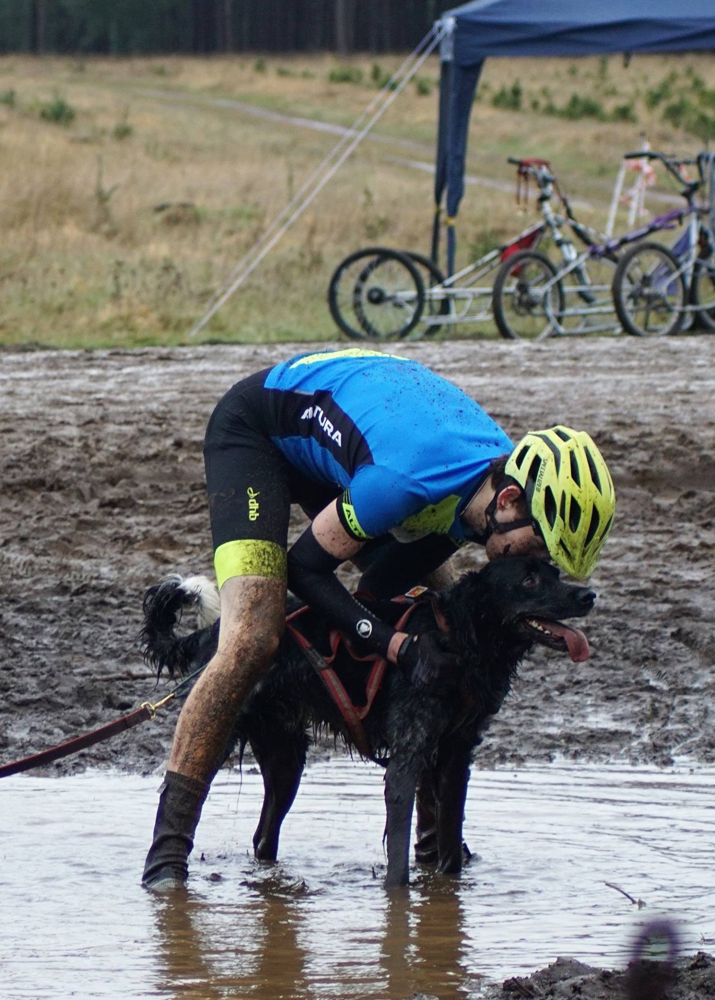 Harness Sports - K9 Trail Time: Leading Canine Equipment Provider