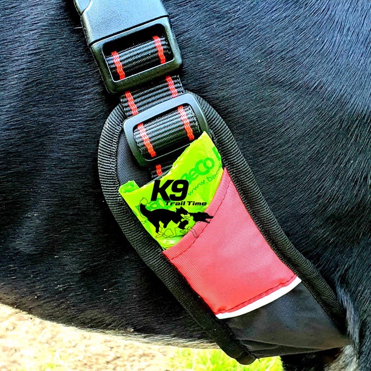 Product Feature - The Arctic Wolf Adventure Harness - K9 Trail Time ...