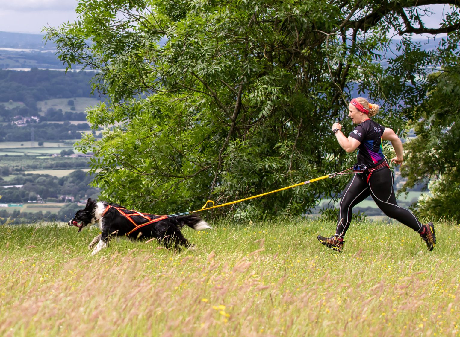 Why canicross isn't just running with your dog - K9 Trail Time: Leading ...